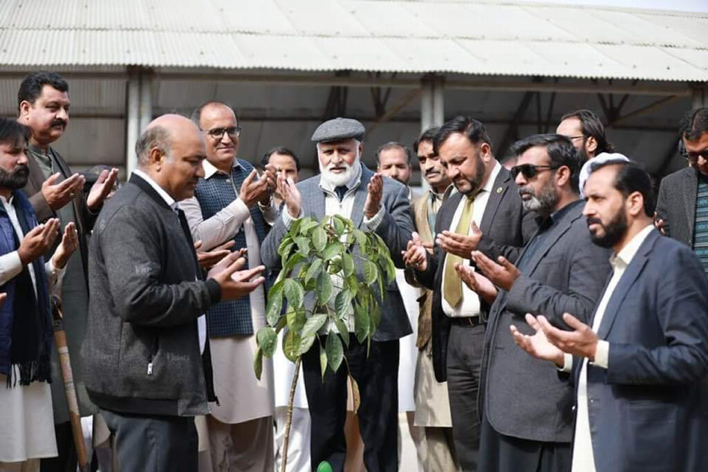 Tree Plantation Campaign Inaugurates at QAU – QAU
